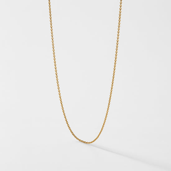 Collections – NADRI